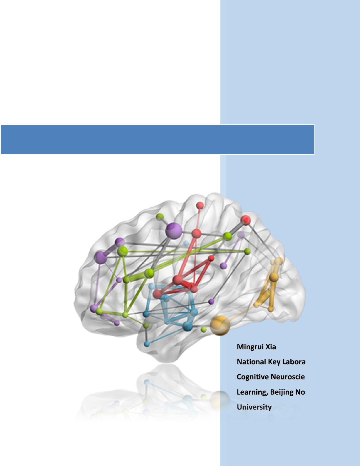 BrainNet_Manual_brainnetviewer教程 - CSDN文库