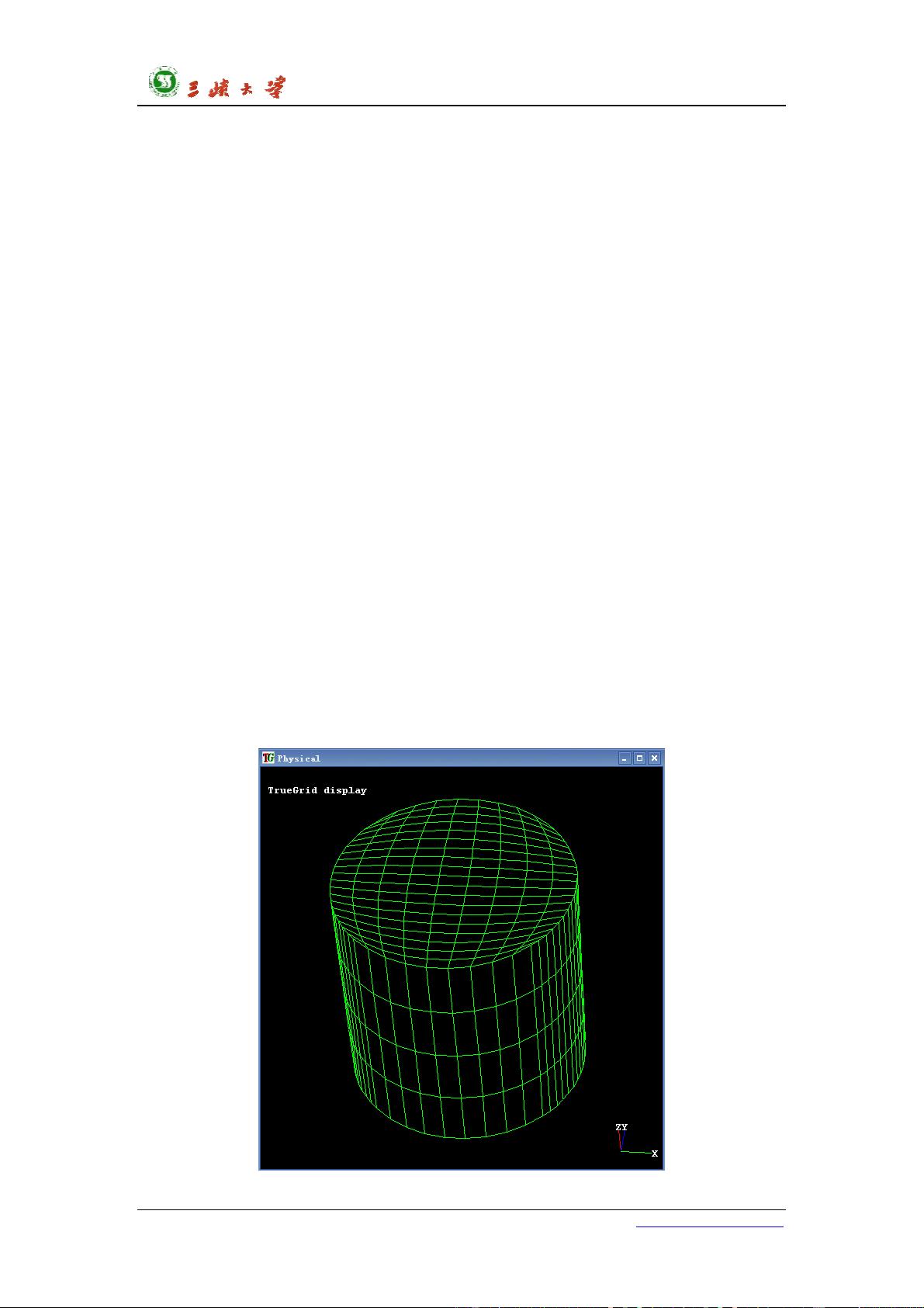 TrueGrid入门指南：从零开始掌握网格划分技术 - CSDN文库