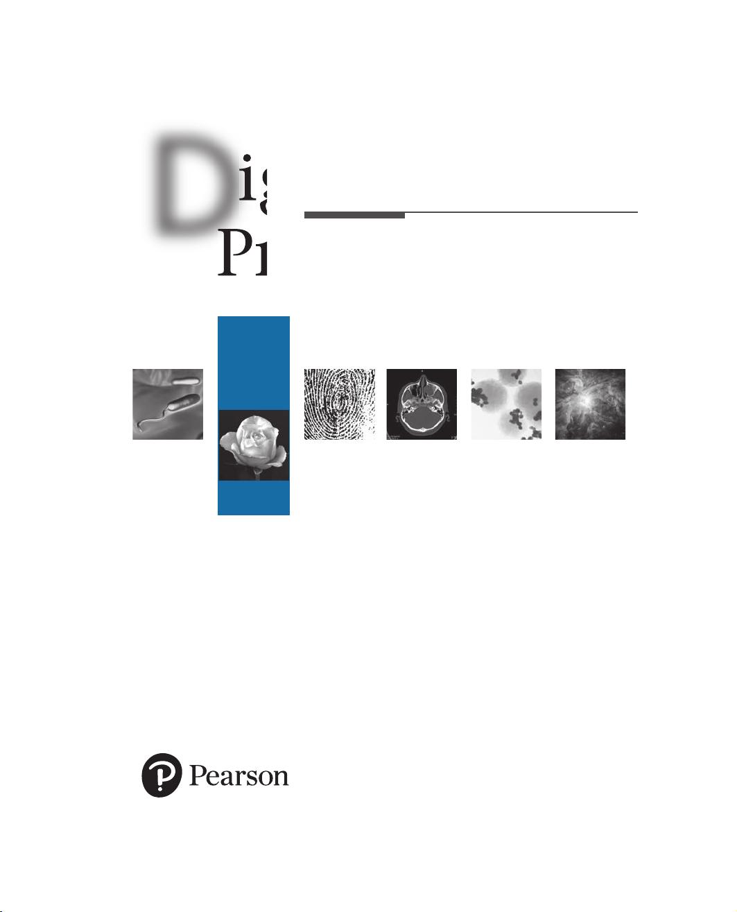 DigitalImageProcessing4thEditionRafaelC.Gonzalez.zip资源-CSDN下载