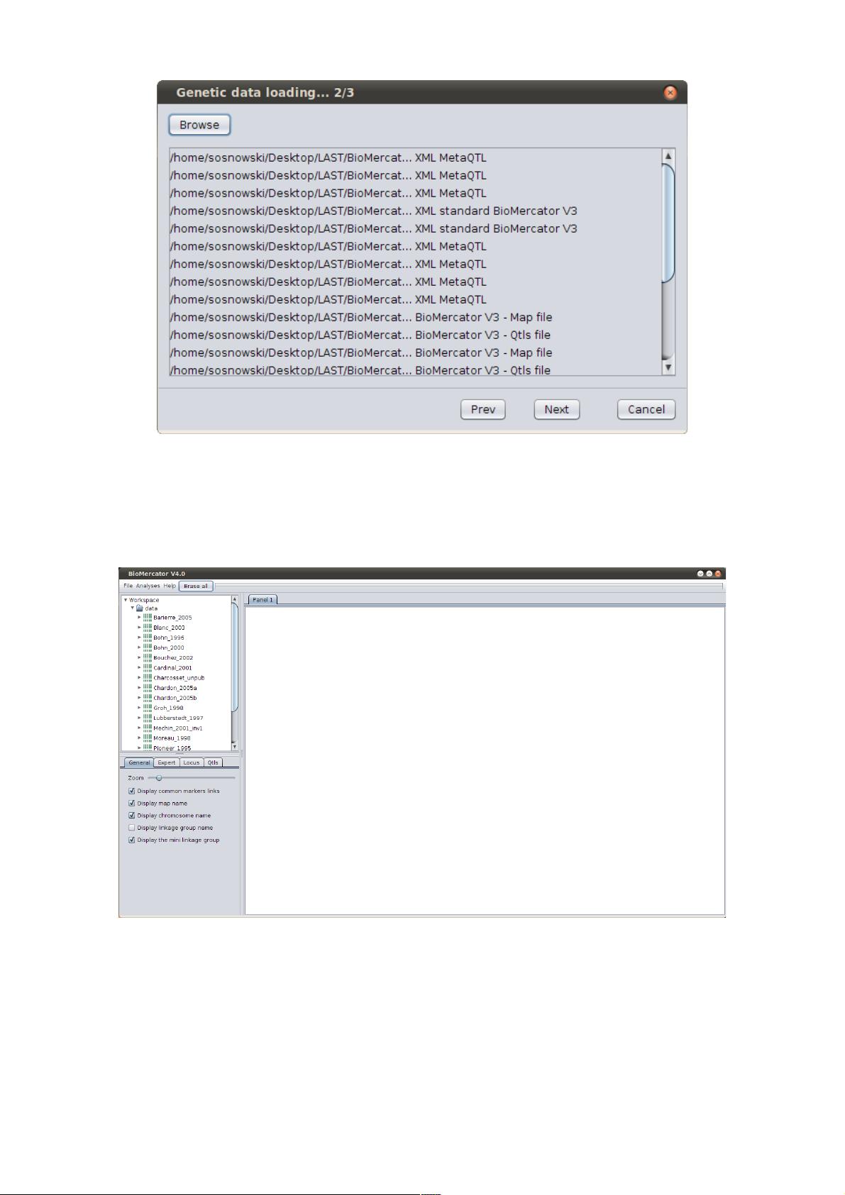 生信软件BioMercatorV4.2.3的详细的操作说明_biomercator软件怎么用资源-CSDN下载