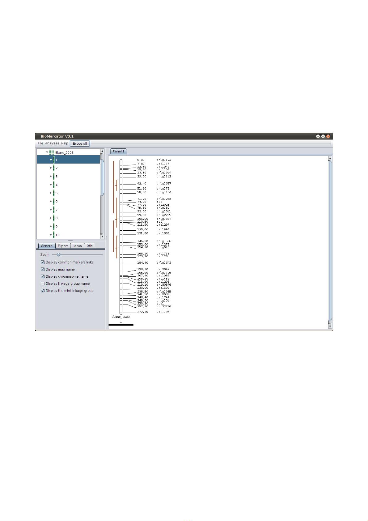 生信软件BioMercatorV4.2.3的详细的操作说明_biomercator软件怎么用资源-CSDN下载
