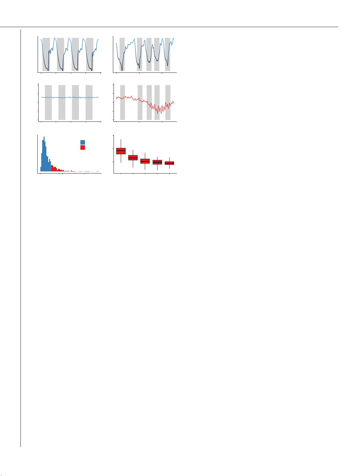 EchoNet-DynamicDataset心跳动态影像数据集-数据集_EchoNet-Dynamic资源-CSDN下载