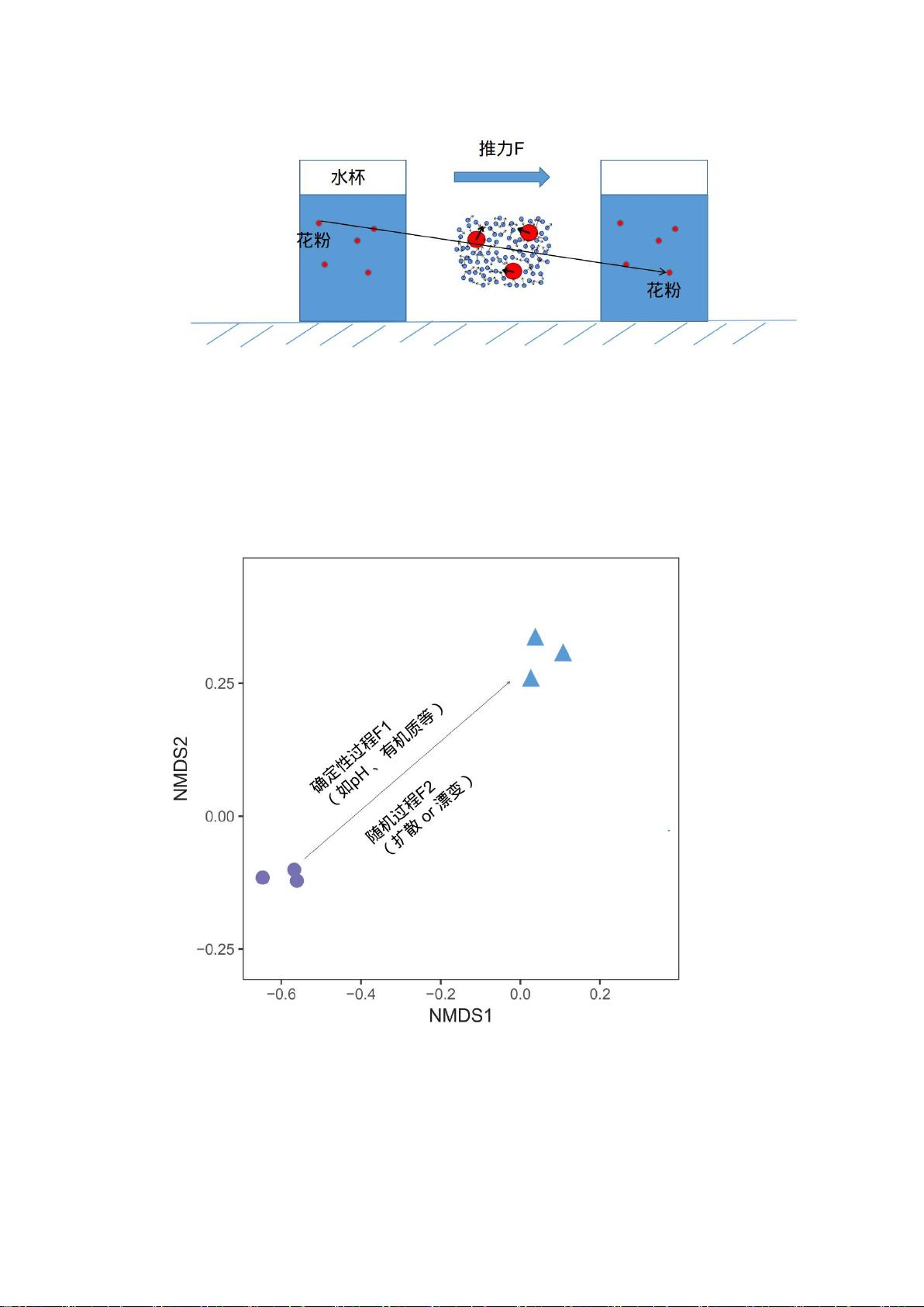 R语言并行计算beta-NTI代码和测试文件.zip_βnti计算,r语言计算βnti资源-CSDN下载