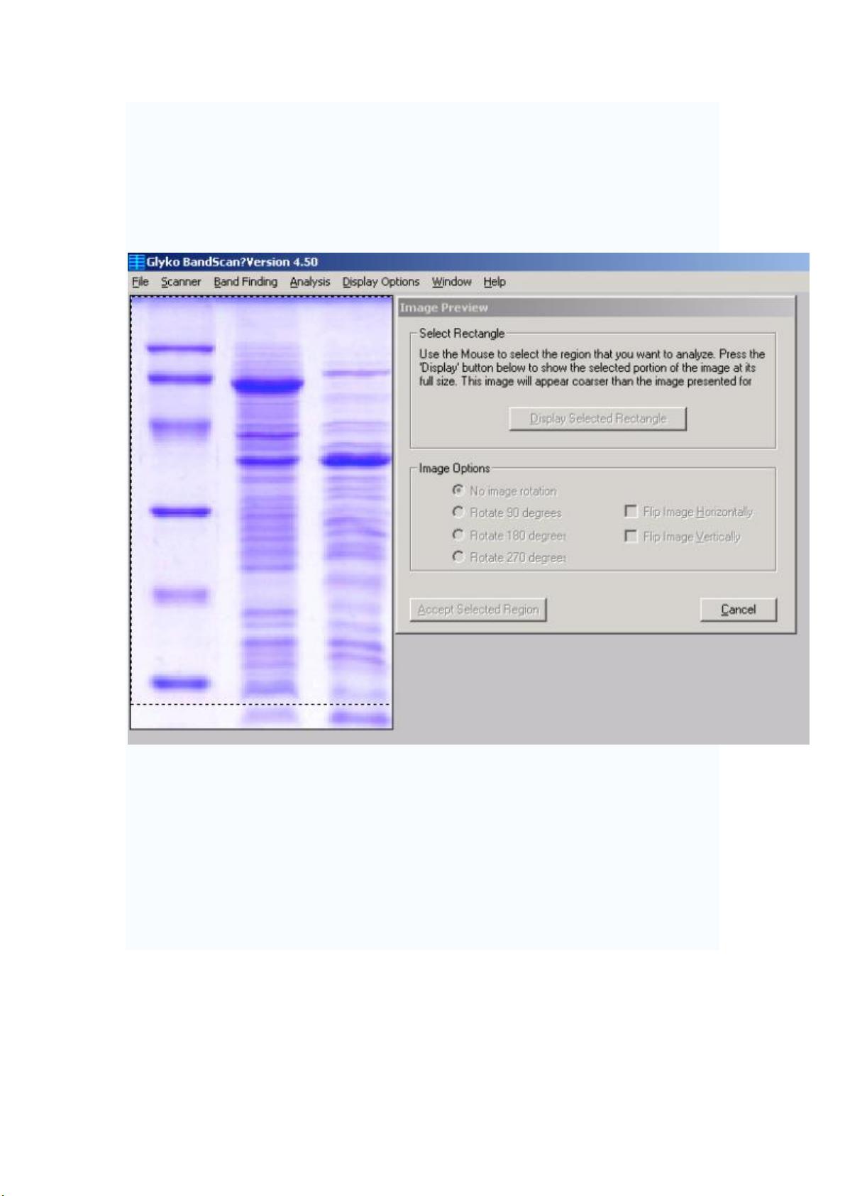 BandScan5.0凝胶图像分析软件完全指南 - CSDN文库