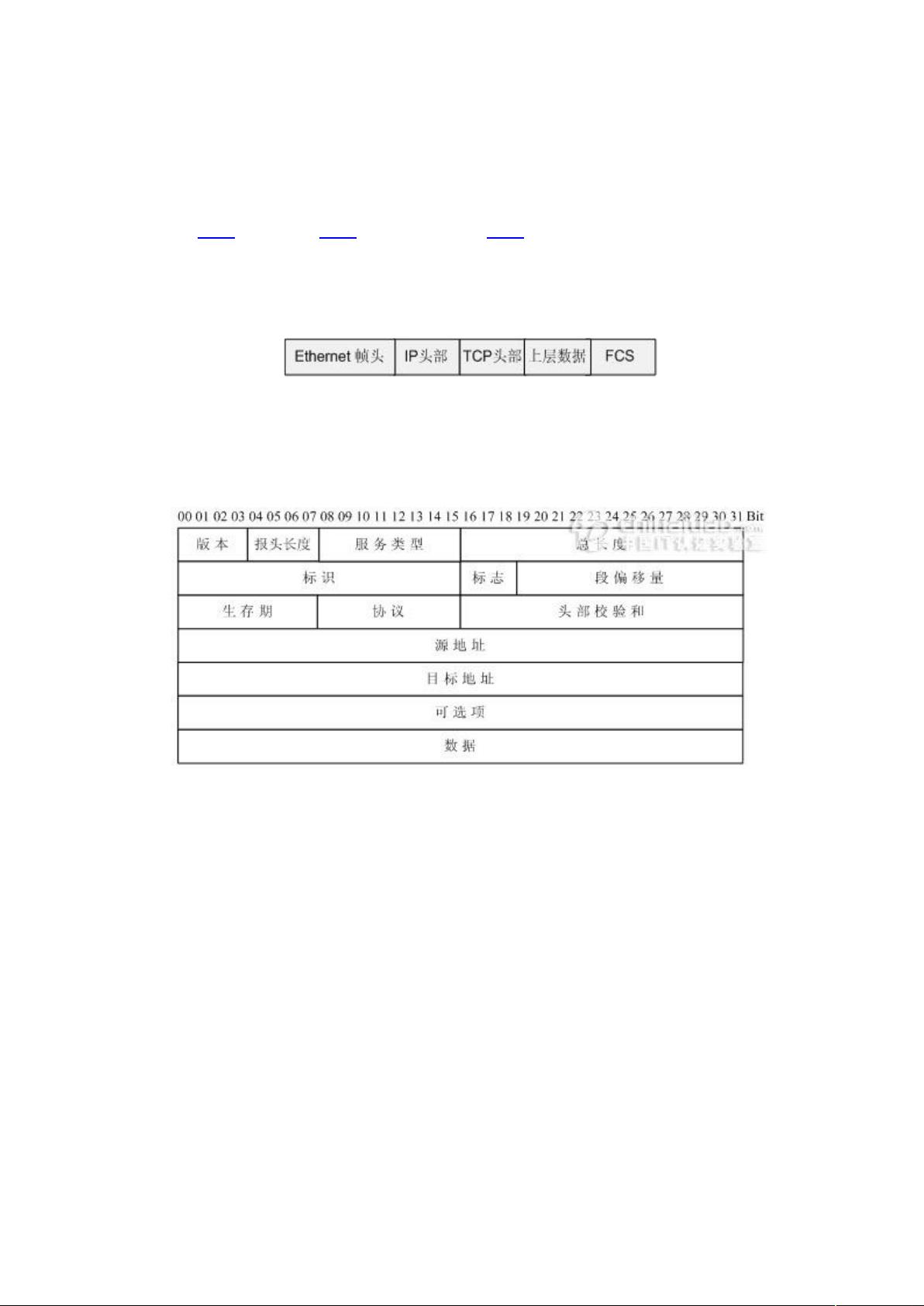 IP报文格式详解：版本、报头长度、服务类型、总长度、标志等字段详解 - CSDN文库
