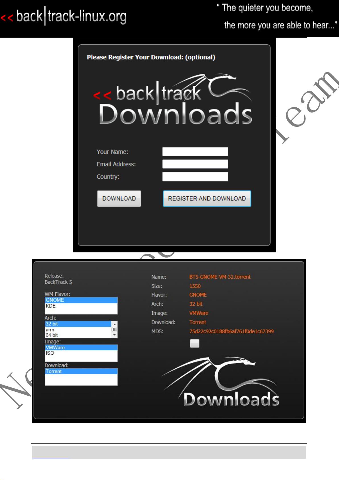 BackTrack5中文指南：全面安装教程与汉化详解 - CSDN文库