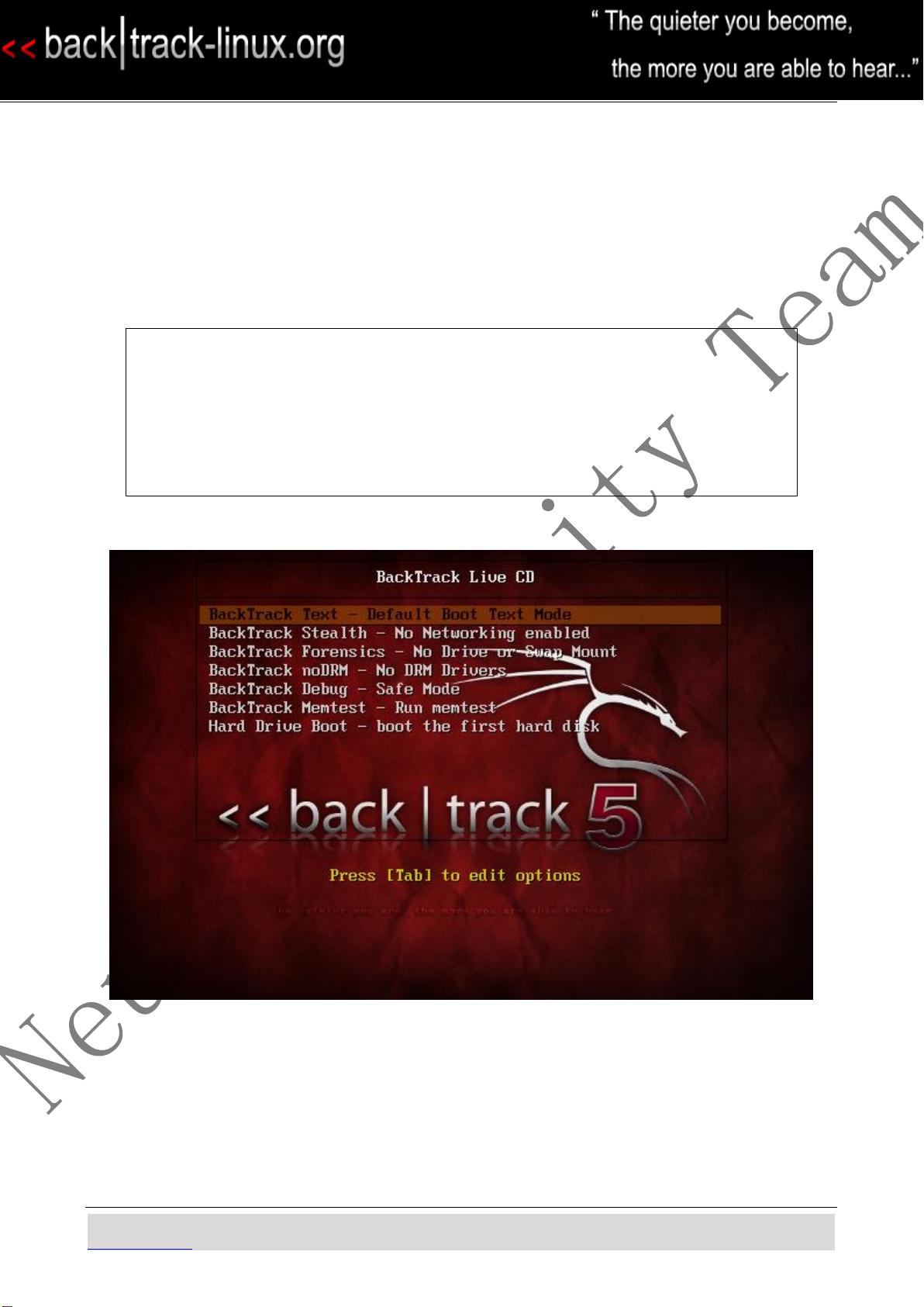 BackTrack5中文指南：全面安装教程与汉化详解 - CSDN文库