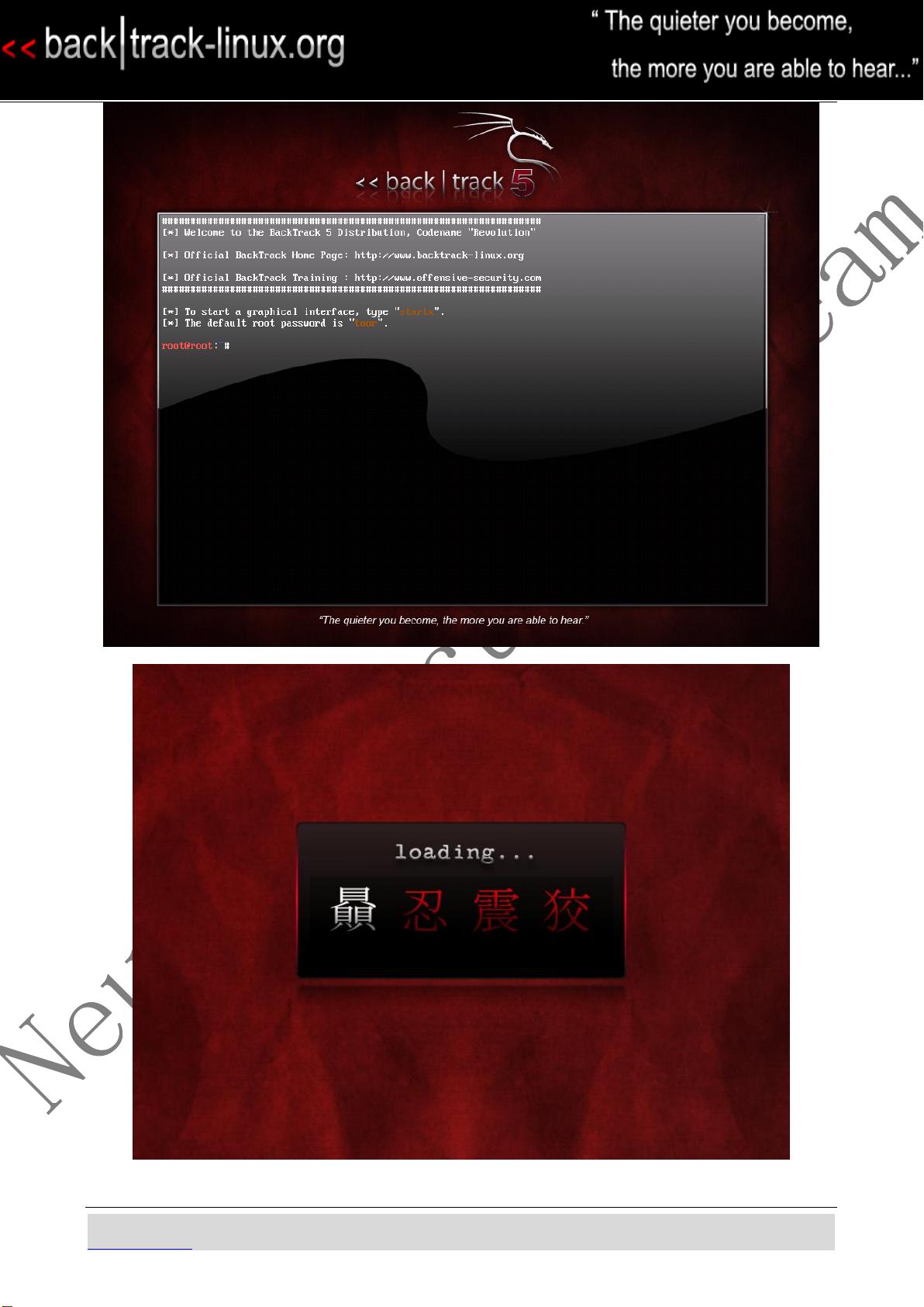 BackTrack5中文指南：全面安装教程与汉化详解 - CSDN文库