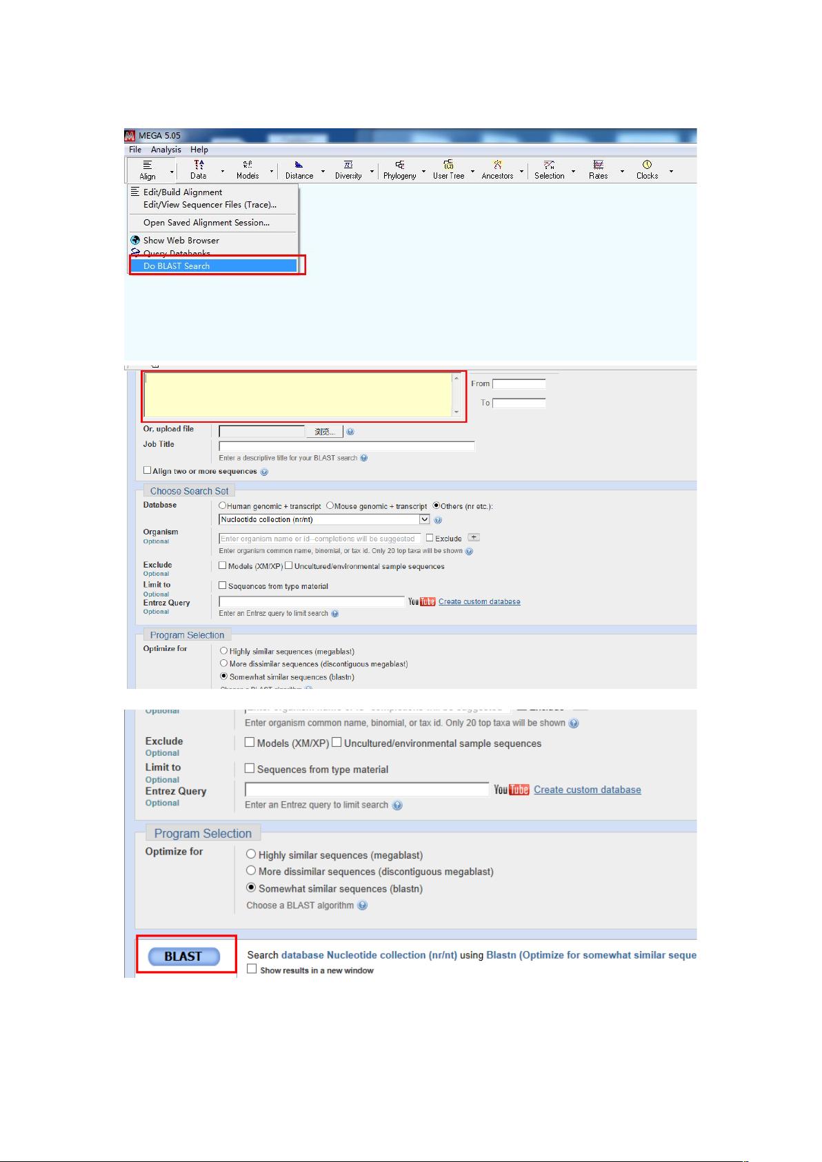 Blast序列比对与利用mega构建进化树 - CSDN文库