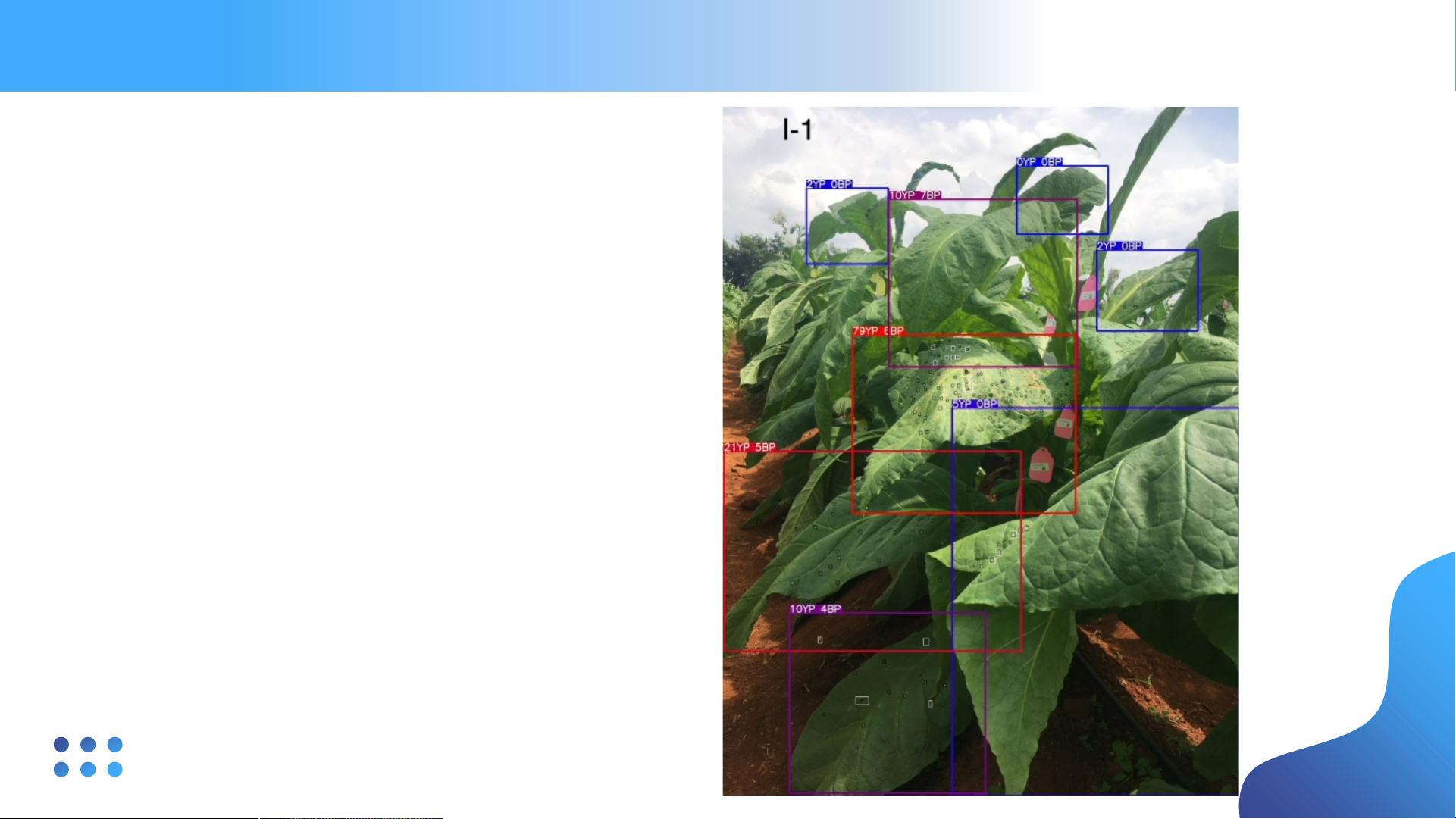 Ppt Python基于改进yolov5的烟叶病害检测系统pptyolov5ppt资源 Csdn文库 资源 Csdn文库