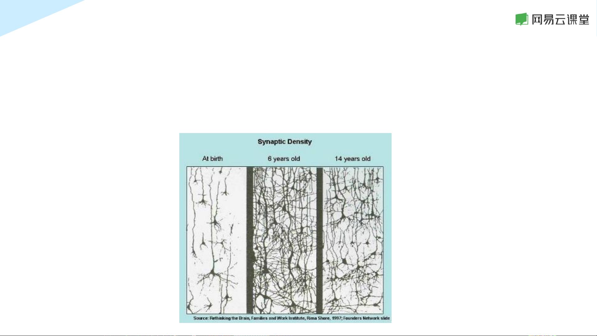 基于yolov5的模型剪枝项目实战源码资源 Csdn下载