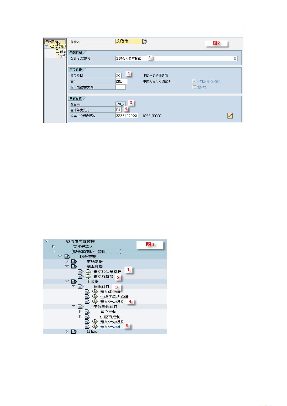 Sap自学系列 现金管理和预算控制docx资源 Csdn文库 资源 Csdn文库