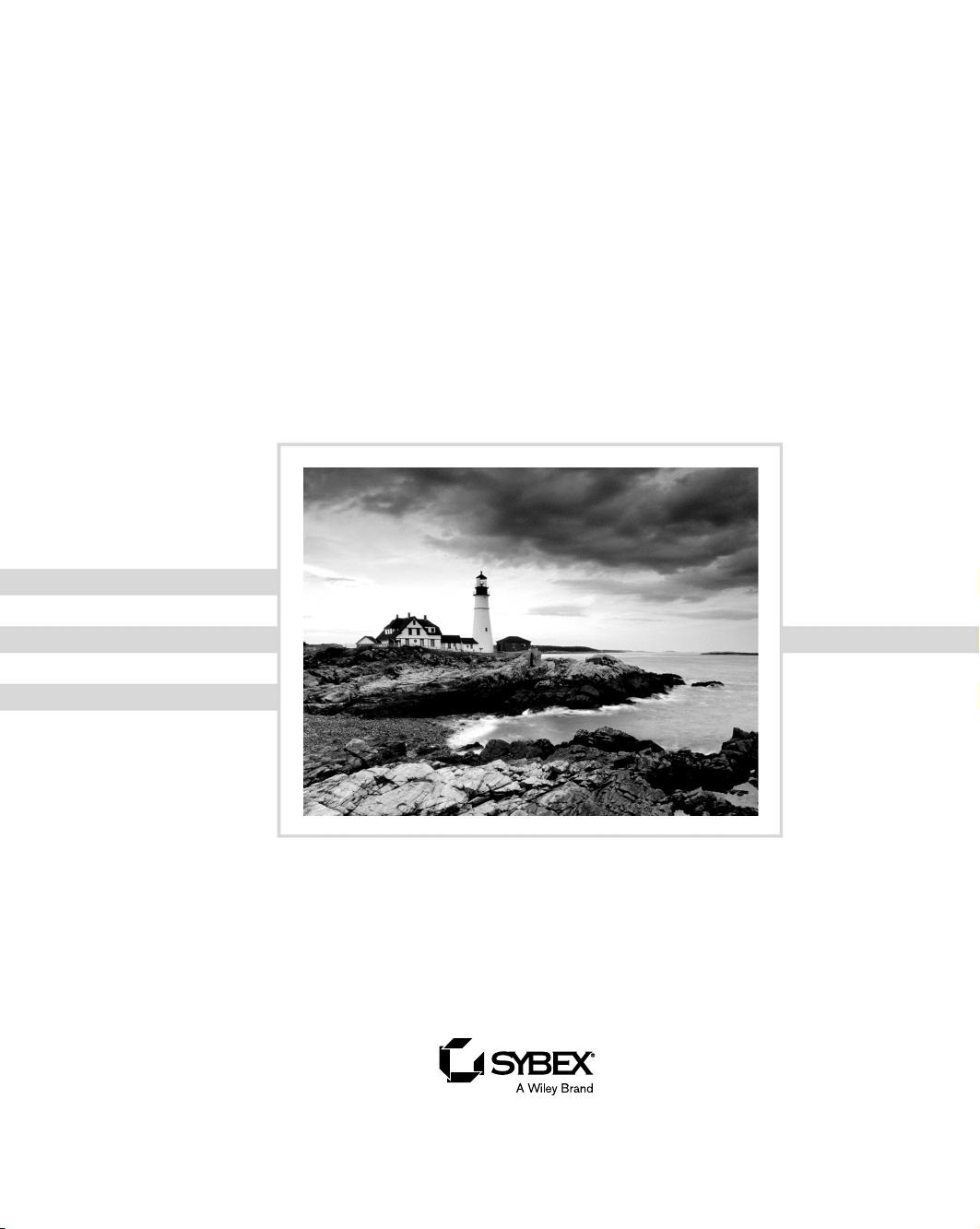 CISSPOSG第九版英文版_cissp中文版第九章资源-CSDN下载