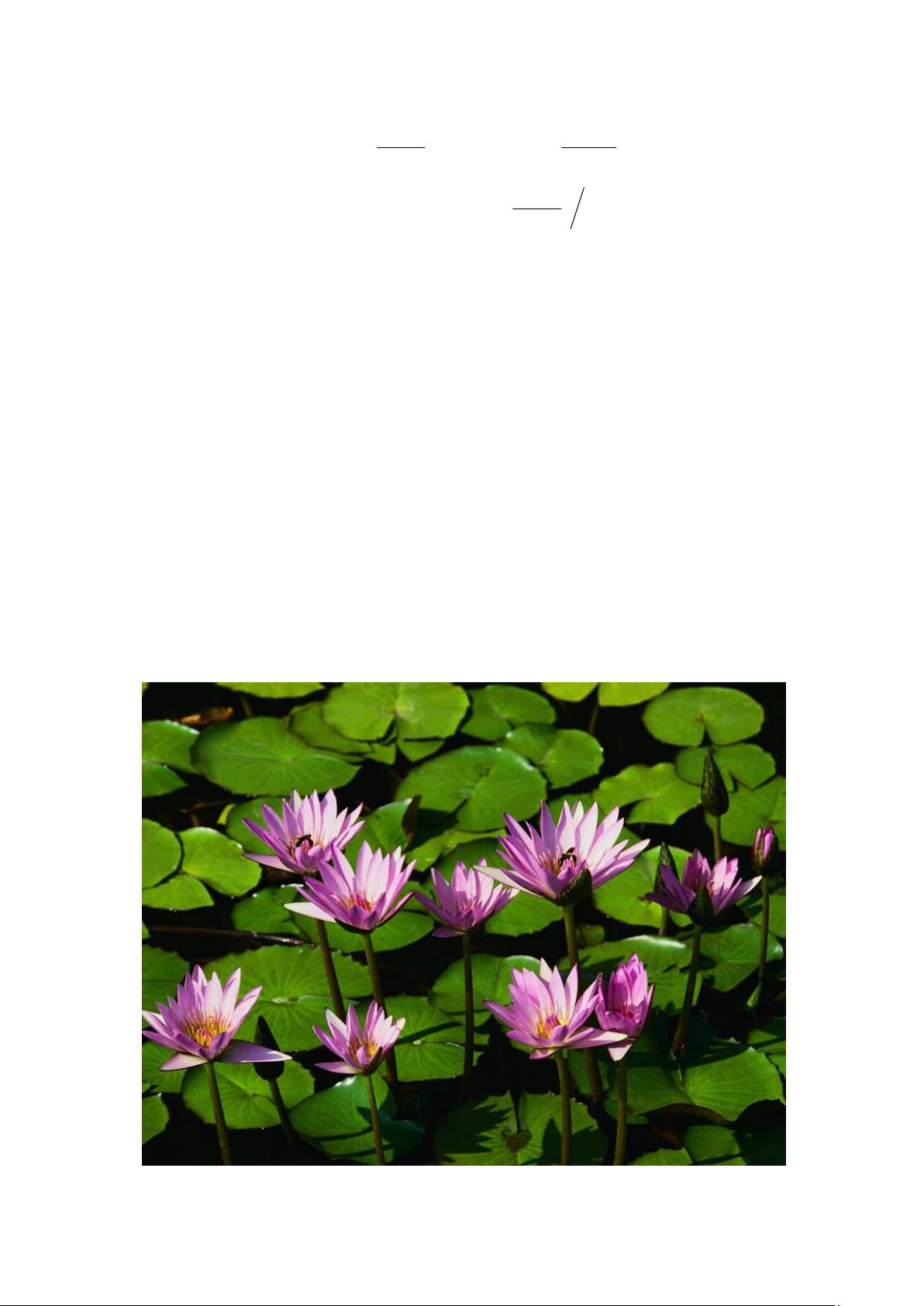 【图像边缘检测】基于matlab小波变换图像边缘检测【含matlab源码3703期】zip资源 Csdn下载