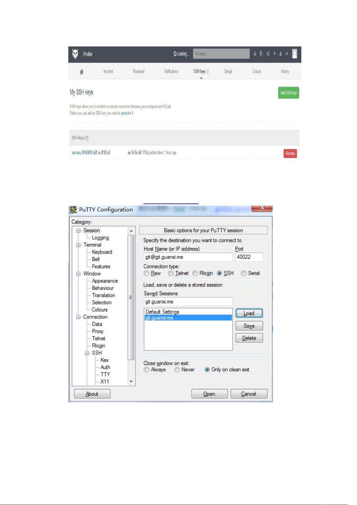 Windows环境下GitLab安装与TortoiseGit使用教程 - CSDN文库