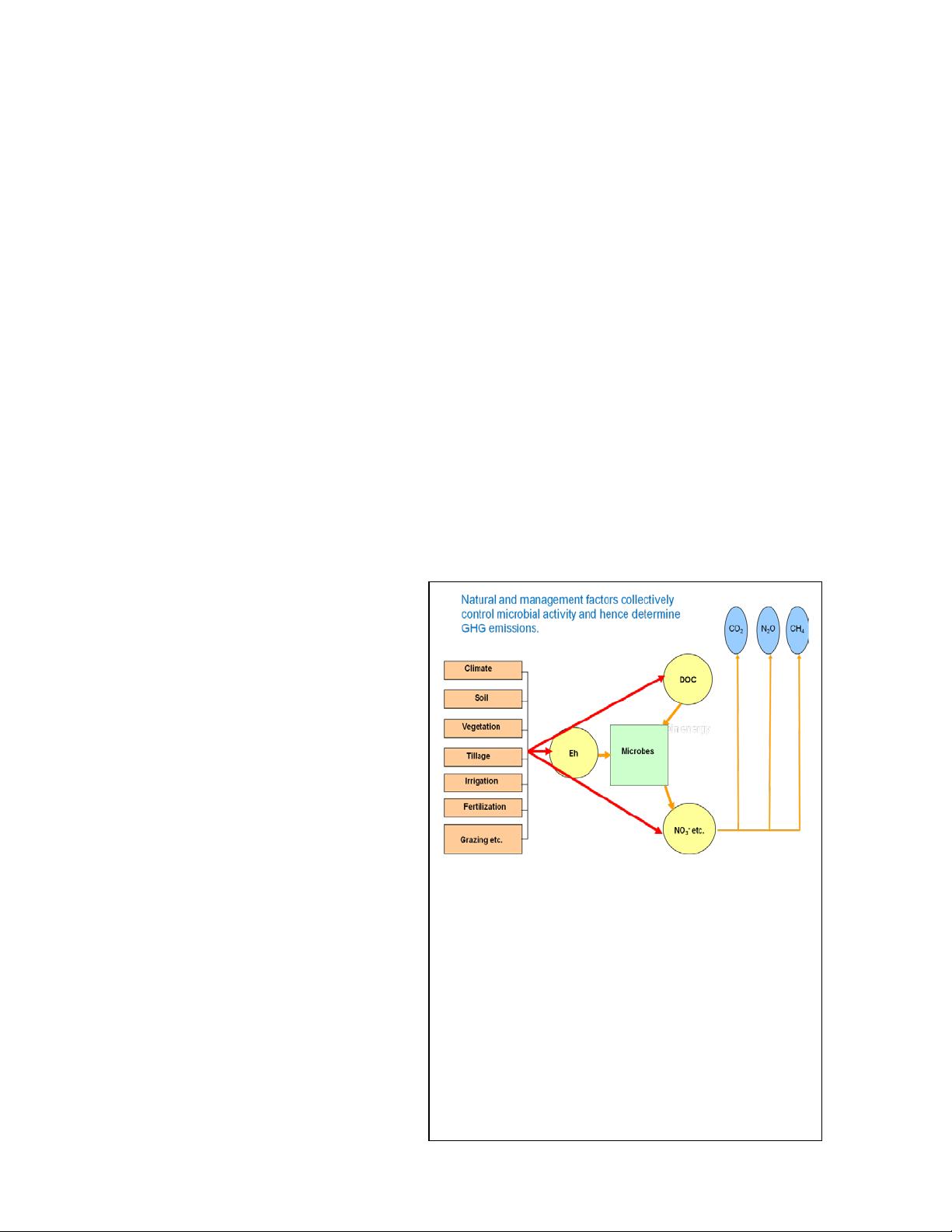 DNDC9.5英模型手册（英文）资源-CSDN下载