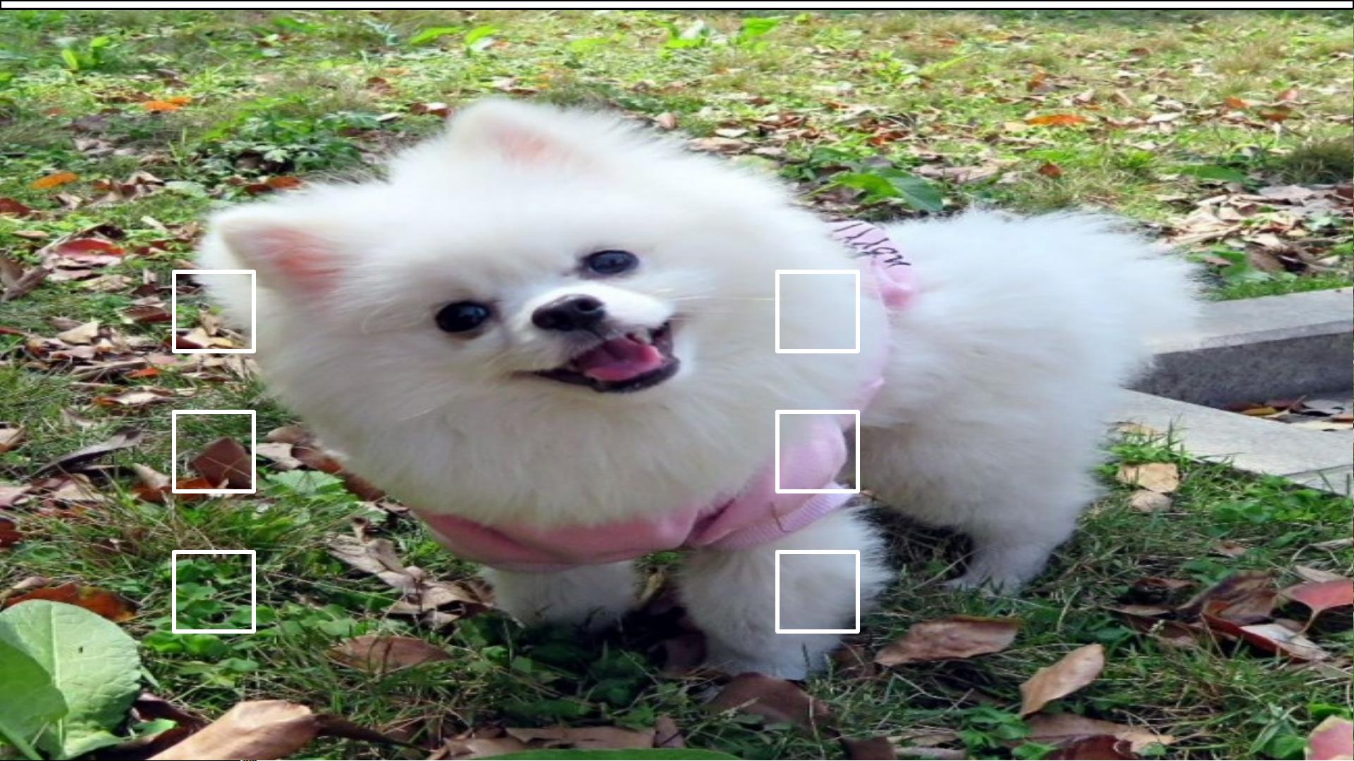 基于java的宠物网站设计与实现：涵盖jsp、mysql、spring和struts2框架的web应用开发毕业论文数据库项目辅导视频源代码资源 Csdn下载